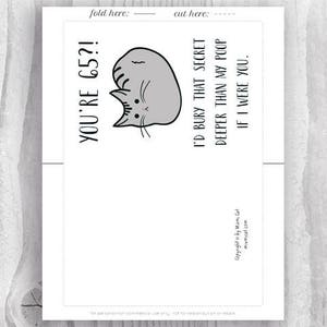 Funny 65th Birthday Cards, Printable Cat 65 Birthday Card, Getting Old ...