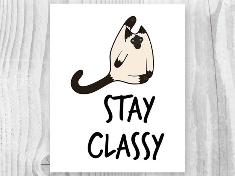 Stay Classy Cat Art Instant Digital Download Funny Siamese - Etsy