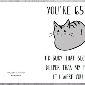 Funny 65th Birthday Cards, Printable Cat 65 Birthday Card, Getting Old ...