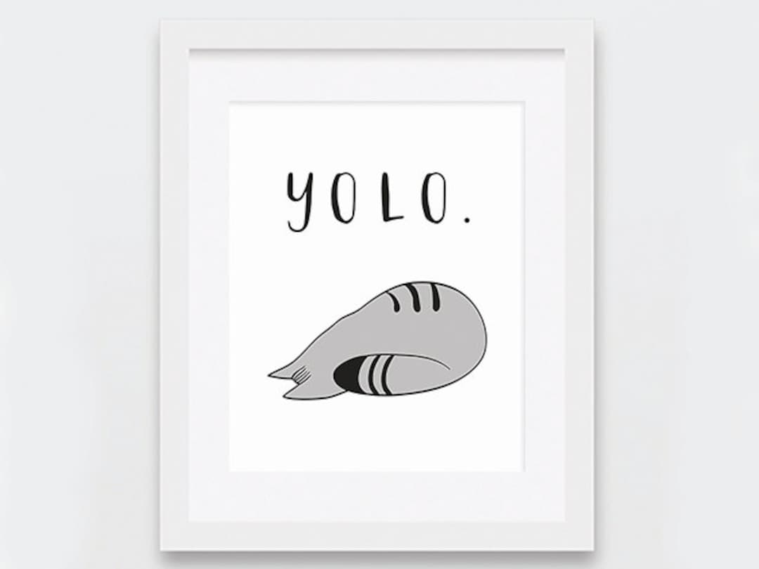 Yolo, Funny Cat Illustration Printable, Inspirational Quote, Sarcastic ...