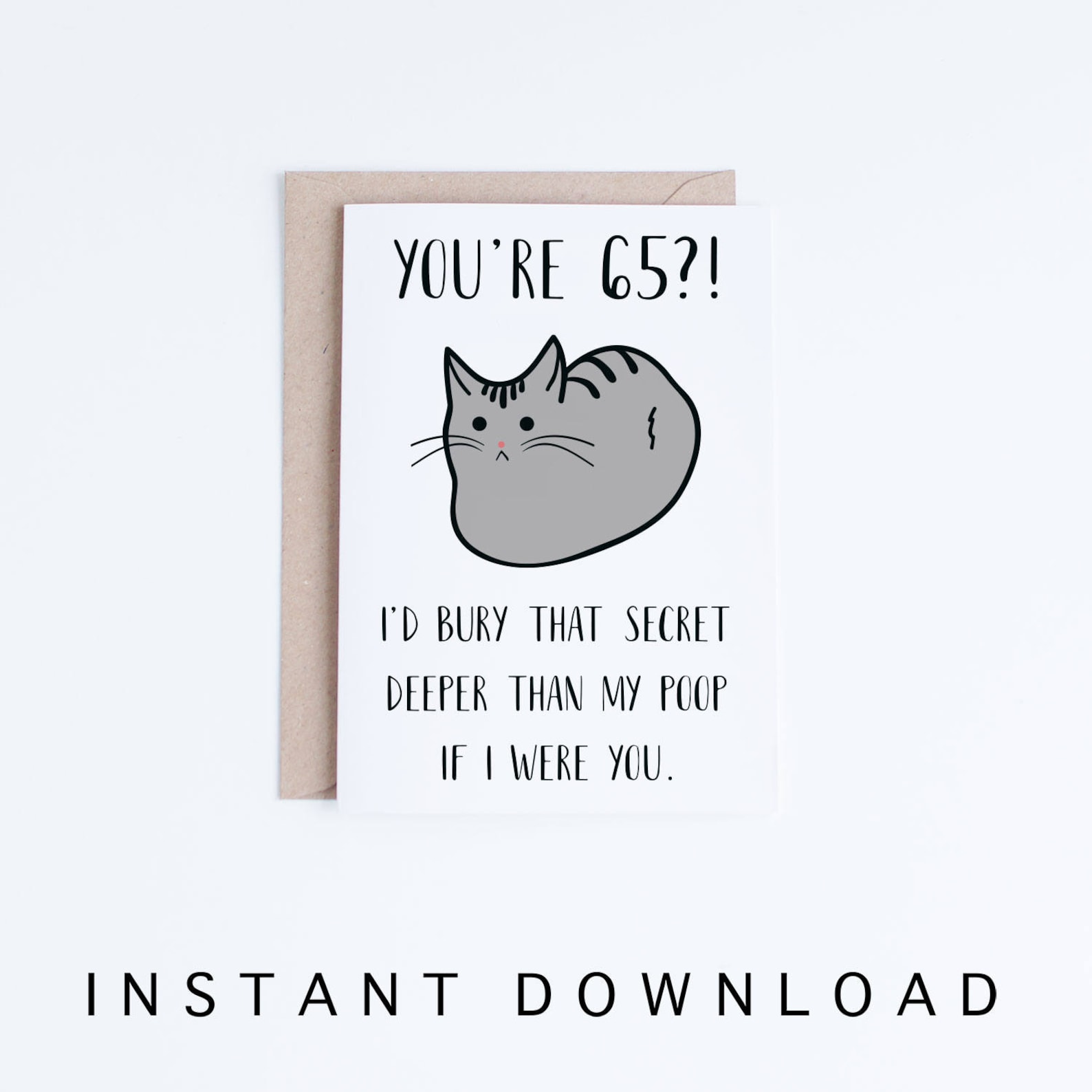 Funny 65th Birthday Cards, Printable Cat 65 Birthday Card, Getting Old ...