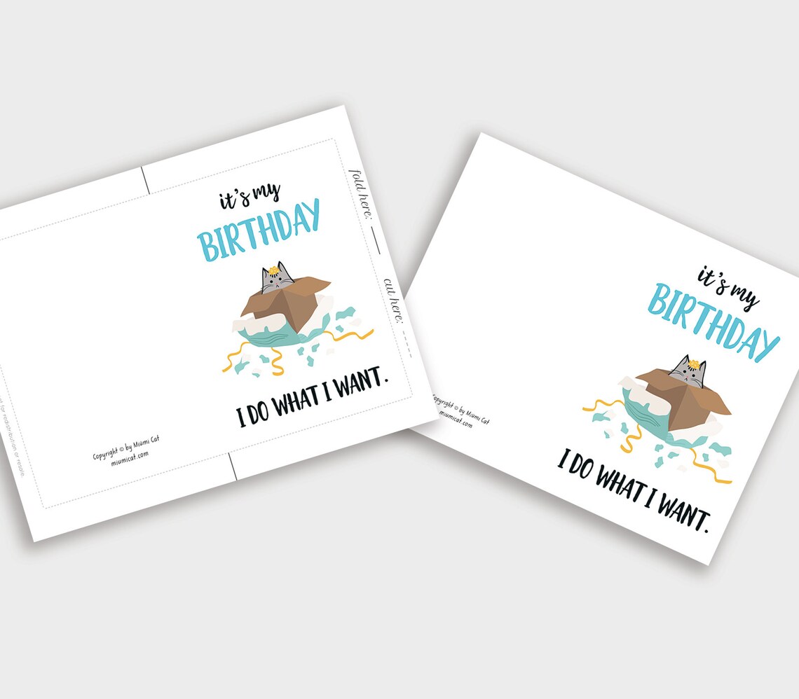 I Do What I Want Birthday Card Printable Birthday Cat in Box - Etsy UK