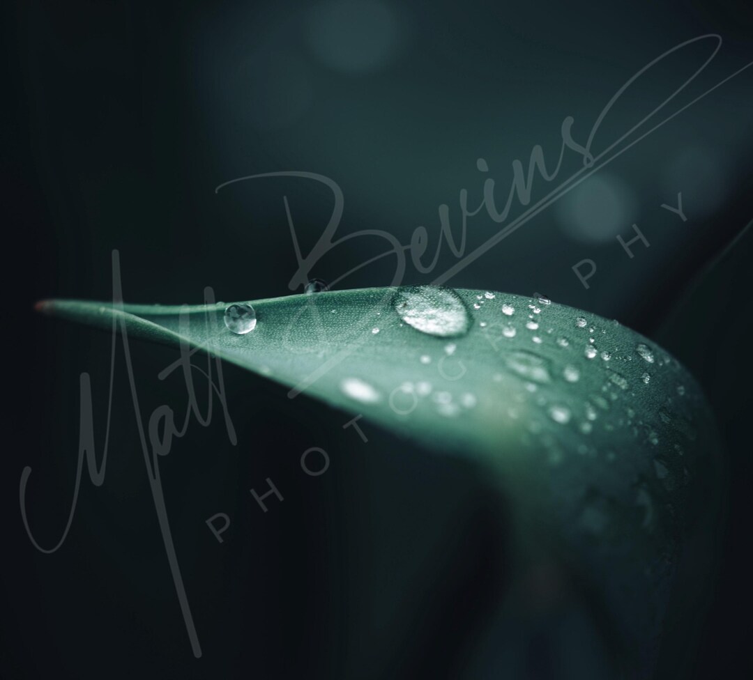 Rain Drops Digital Download Print - Etsy