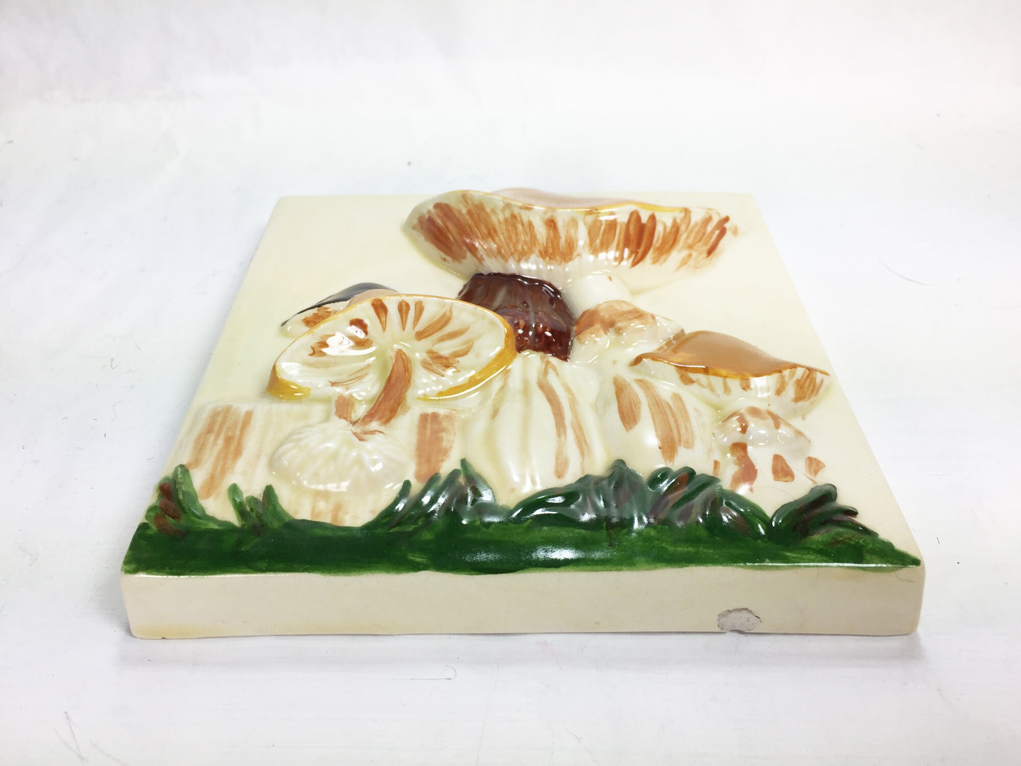 Vintage Mushroom Ceramic Wall Hanging Tile Retro Mycology Mushrooms ...