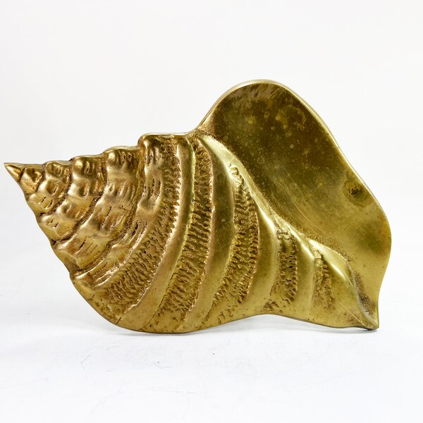 Vintage Sea Shell Wall Decor - Etsy