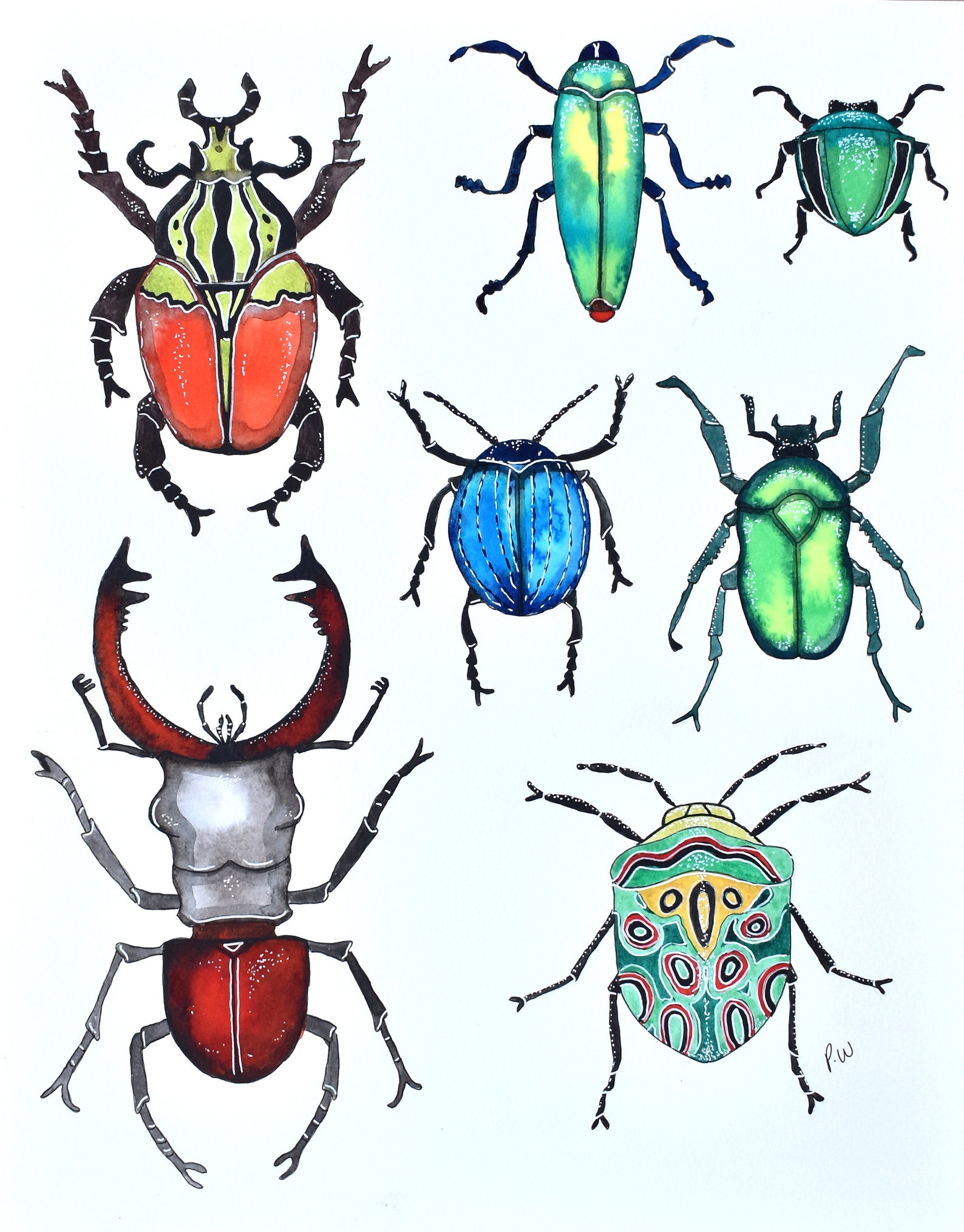 Beetles insects art print bugs wall art abstract art | Etsy