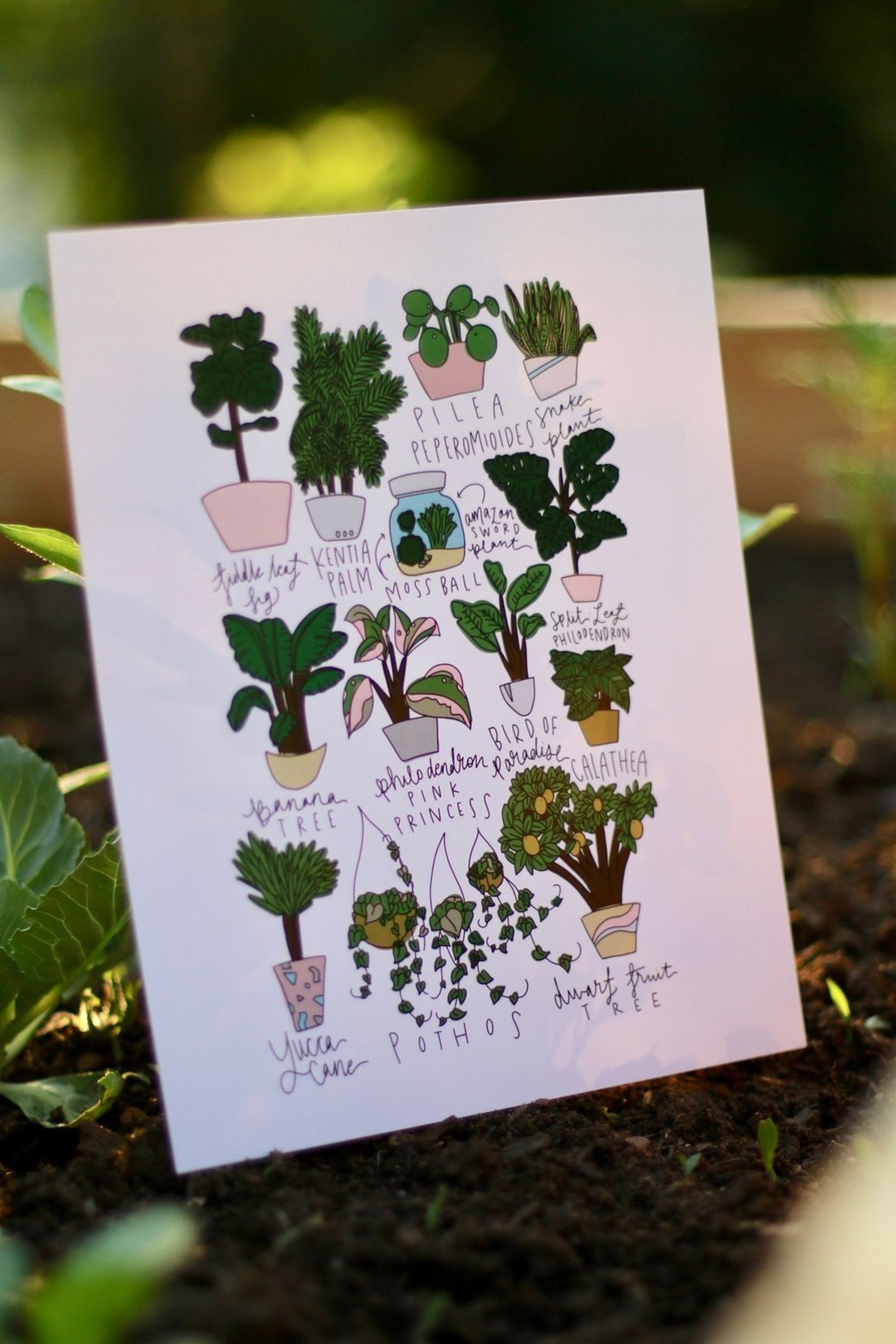 Houseplants Plant Wall Art Plant Lover Illustrated Art Print - Etsy