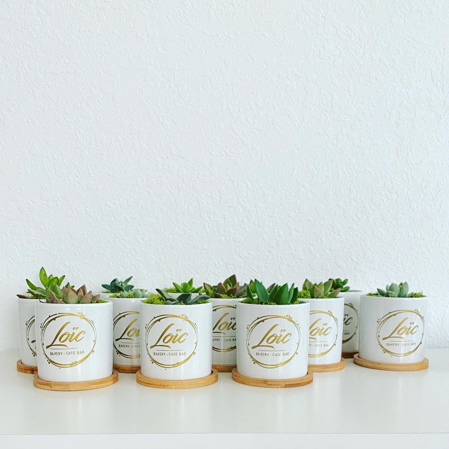 Personalized Planters. Business Logo. Company Gift With Logo. | Etsy