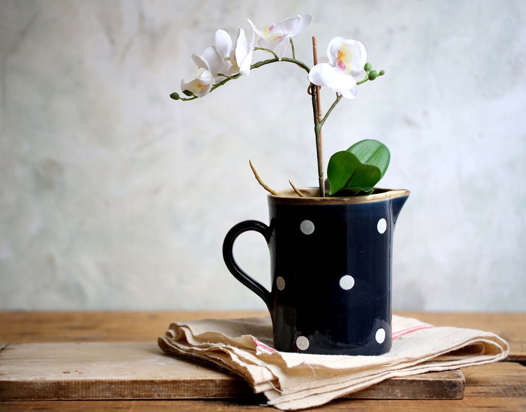 Large Blue Spotty Jug Alsace Style Rustic Pitcher - Etsy
