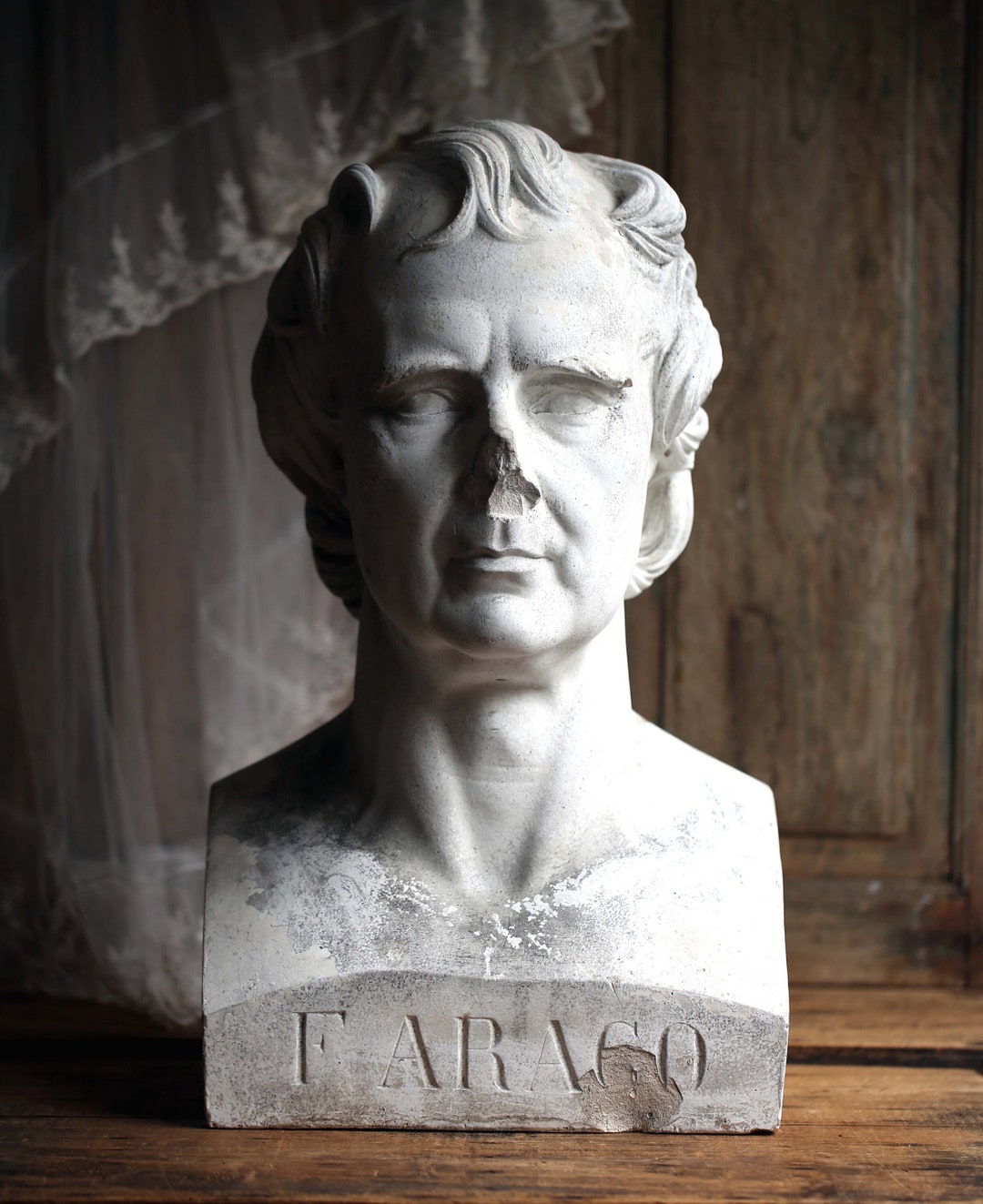 HUGE Antique Bust of Francois Arago Large French Sculpture Plaster Head ...