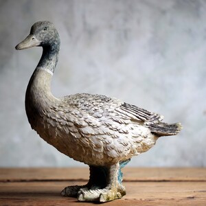French Duck Bird Statue Distressed Garden Decoration - Etsy