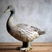 French Duck Bird Statue Distressed Garden Decoration - Etsy