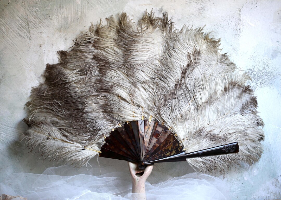 Large Antique French Ostrich Feather Fan Rococo Burlesque Hand Fan - Etsy