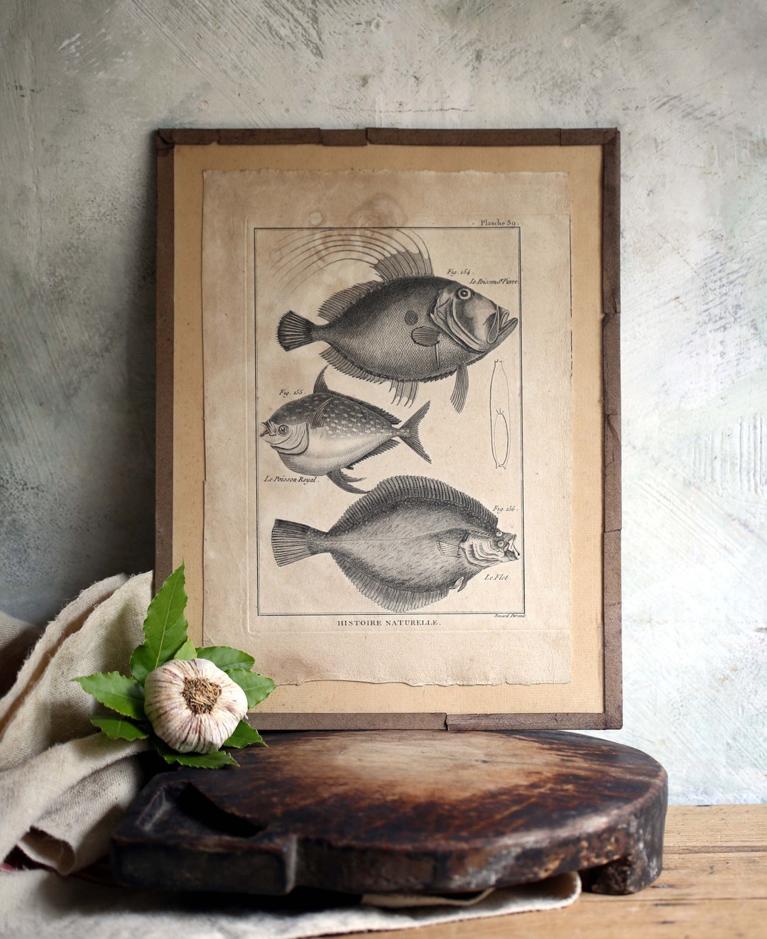 Antique French Engraving Fish Study Natural History Plate 39 Print by ...
