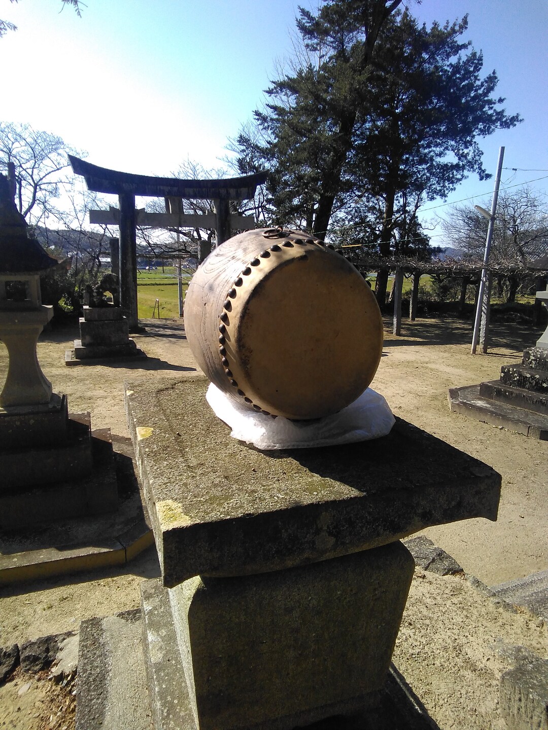 Japanese Taiko Odaiko Drum ( Repair Project) Edo Period 1603-1868 EMS ...