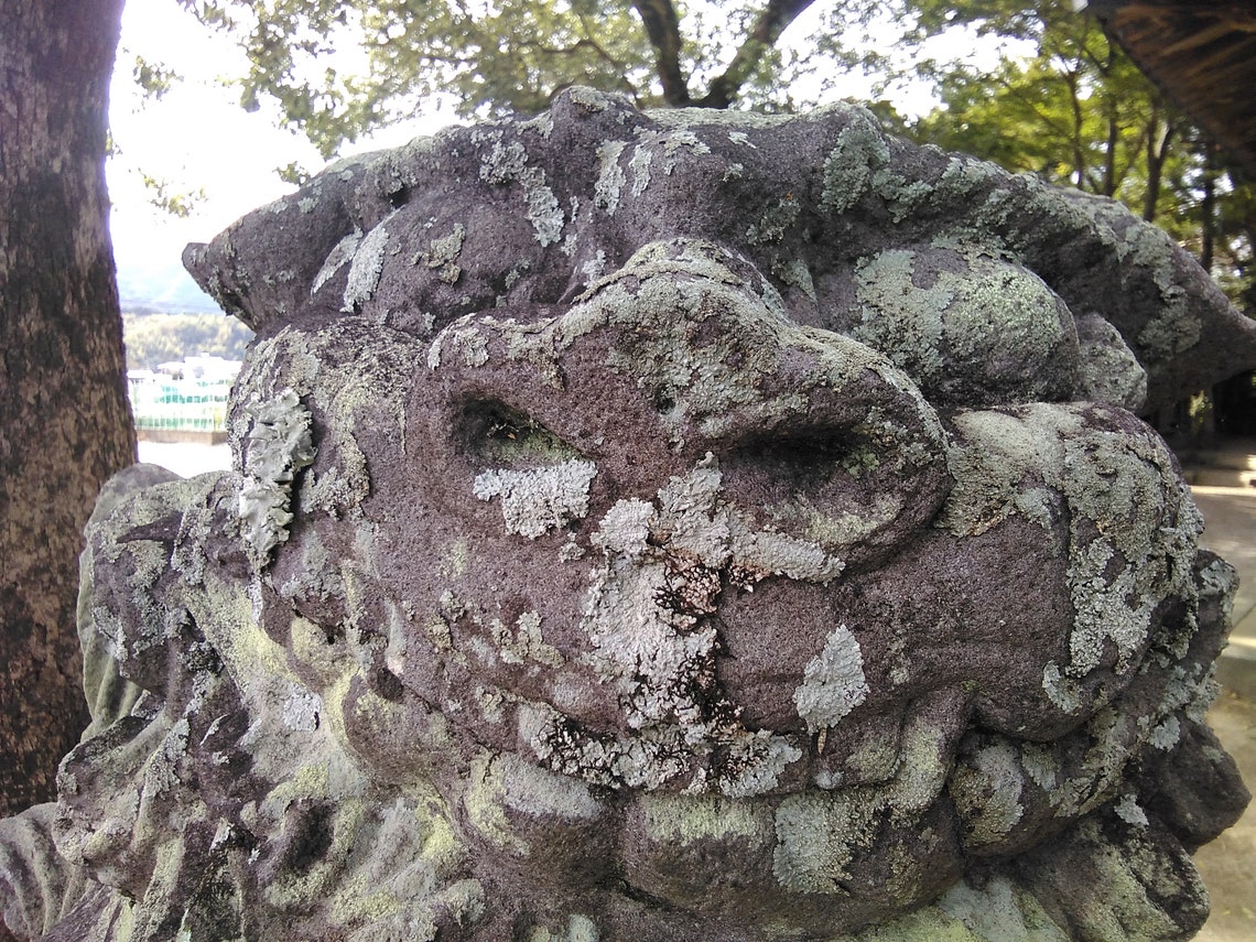 Antique Japanese Go Board Kaya Wood See Video - Etsy