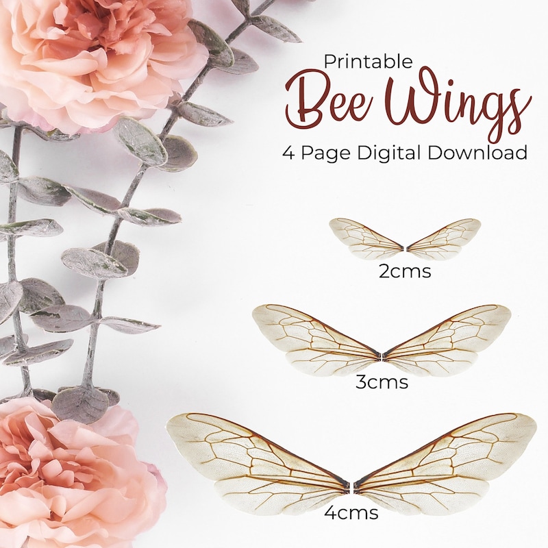 Bee Wings - Etsy