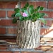 Log Vase Plant Holder | Water Resistant or Natural Hollowed Tree Indoor ...
