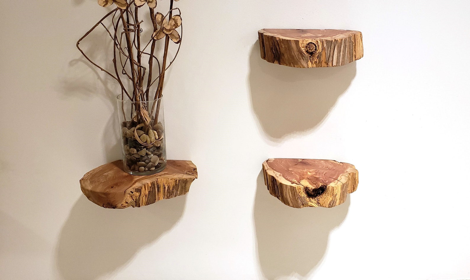 Tree Slice Sconces Matching Set of 3-7 Live Edge Floating | Etsy