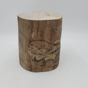 Hollowed Tree Stump With Lid | Wooden Tip Jar | Custom Wedding Gift ...
