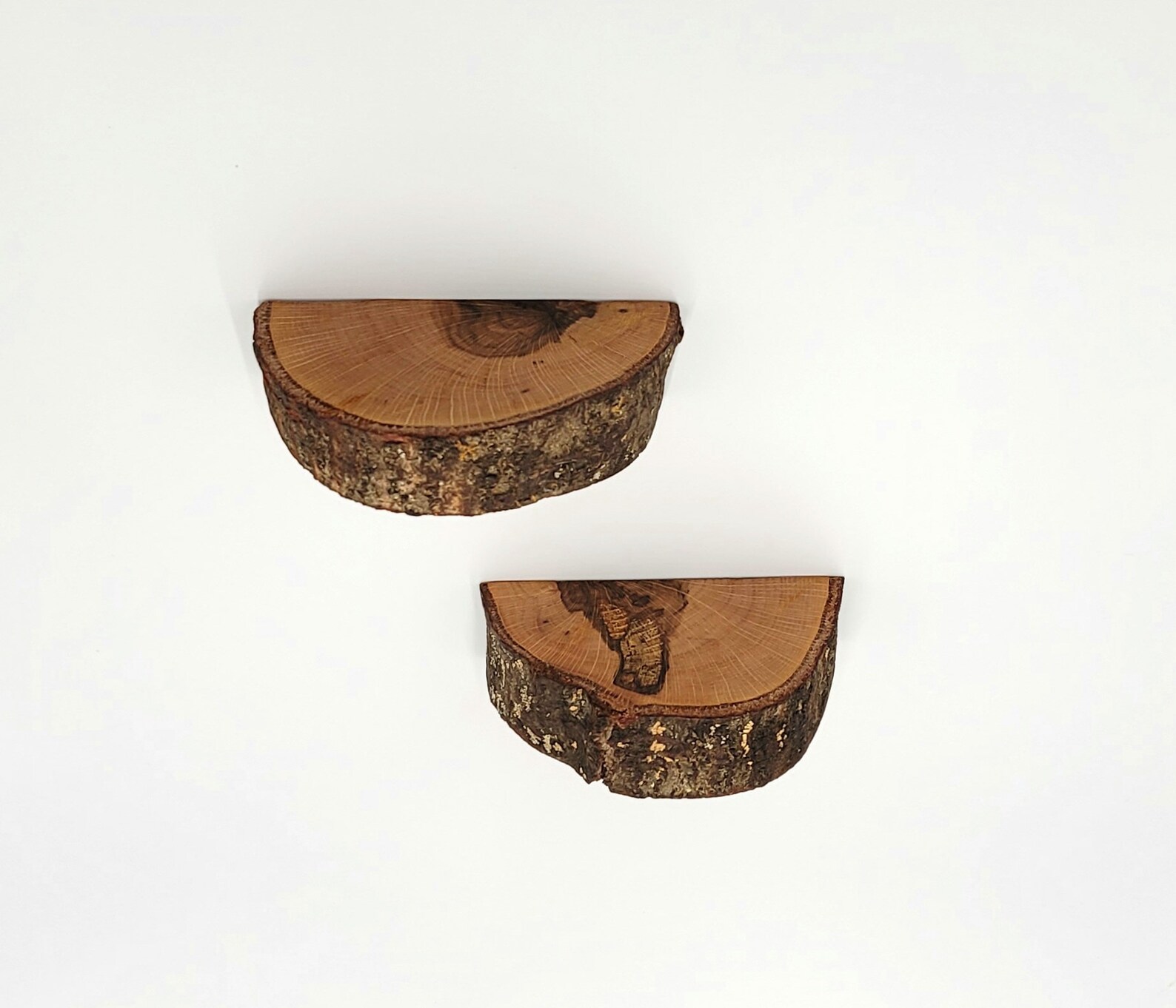 Tree Slice Sconces Split Matching Pair | Live Edge Floating Log Slices ...