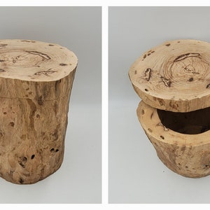 Log Cremation Urn-large Custom Made Hollowed Tree for Human Remains ...
