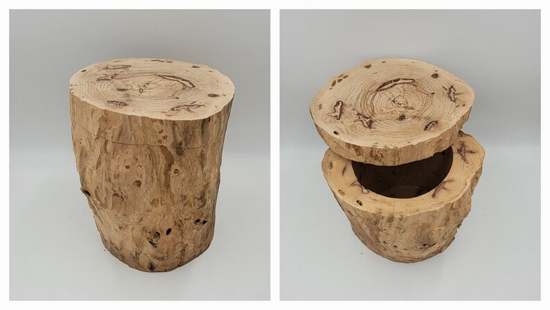 Log Cremation Urn-large Custom Made Hollowed Tree for Human - Etsy