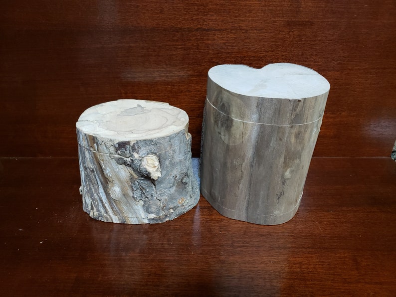 Hollow Log Box or Vase Rustic Desktop Storage Money Hideaway | Etsy