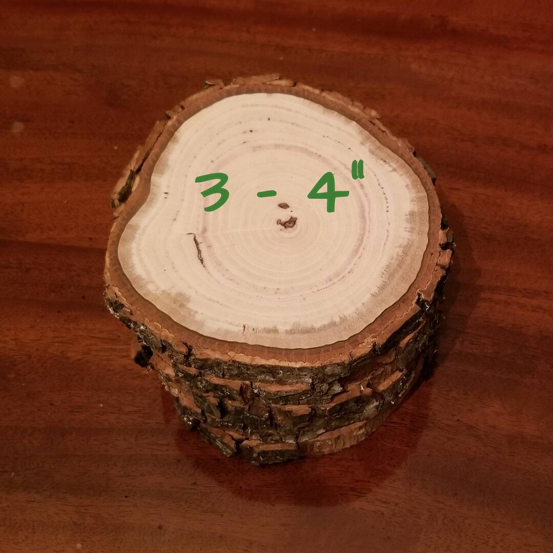 Tree Branch Slices 3-4in | Rustic Wooden Reserved Table Number - XL ...