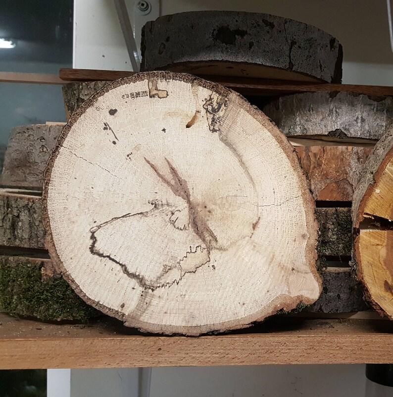 Log Slice 7-9 Wood Round Rustic Wedding Table | Etsy