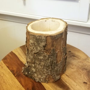 Log Vase Plant Holder | Water Resistant or Natural Hollowed Tree Indoor ...