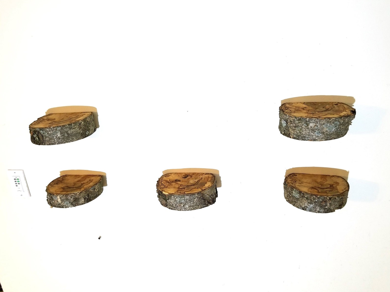 Tree Slice Sconces Matching Set of 3-7 Live Edge Floating | Etsy