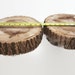 Log Slice Live Edge 10-12 Rustic Centerpiece Base-plate Charger-wood ...