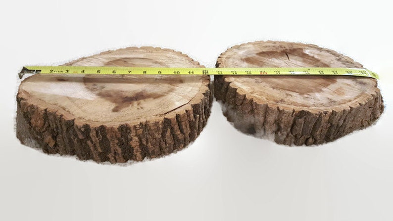 Log Slice Live Edge 10-12 Rustic Centerpiece - Etsy