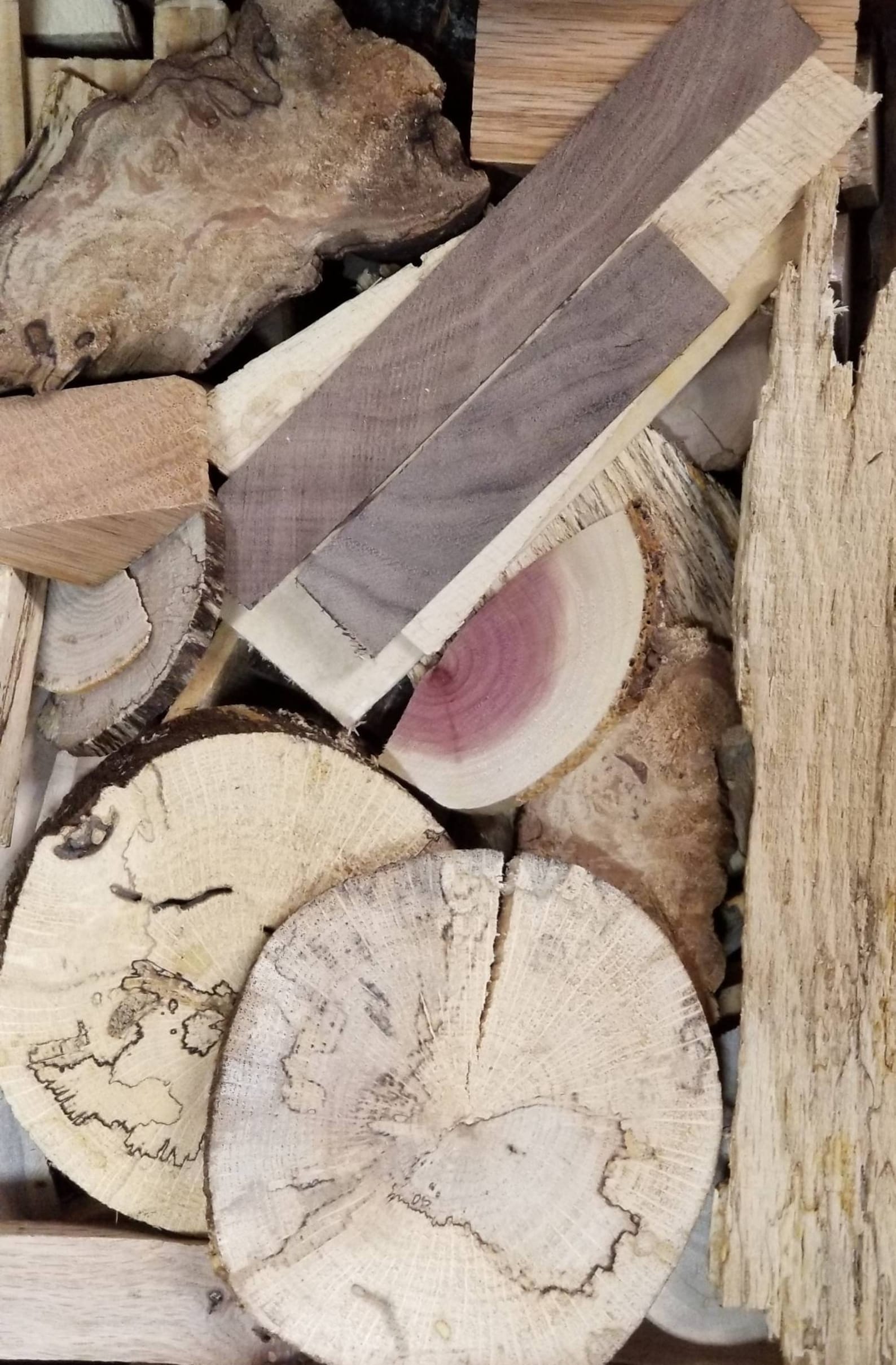 Box of Wood Scrap Chunks From Variety Tree Species Log Slice - Etsy
