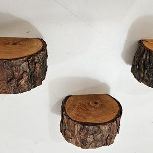 Mini Log Sconce Live Edge Floating Wooden Wall Art | Rustic Indoor ...