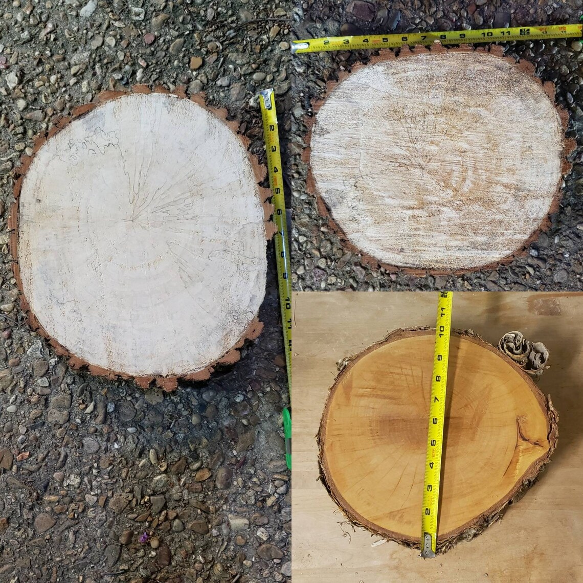 Log Slice Live Edge 10-12 Rustic Centerpiece - Etsy