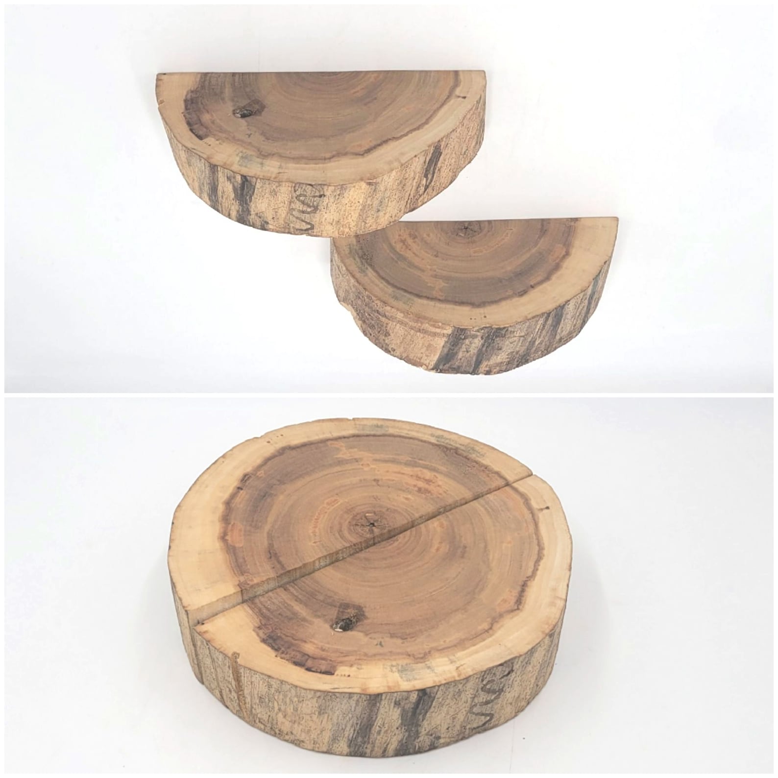 Tree Slice Sconces Split Matching Pair | Live Edge Floating Log Slices ...