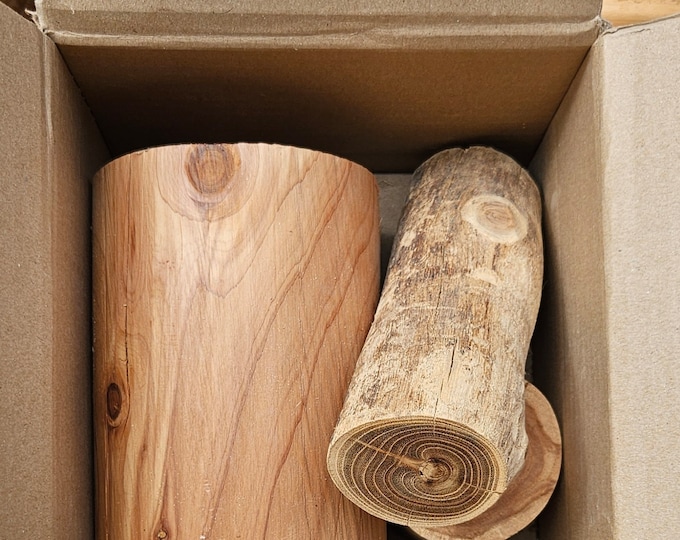 Wood Blanks for Carving or Turning | Log Blocks | 400 Cu in Box of ...
