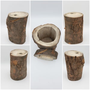 Log Urn | Custom Keepsake Box | Unique Live Edge Hollowed Tree ...