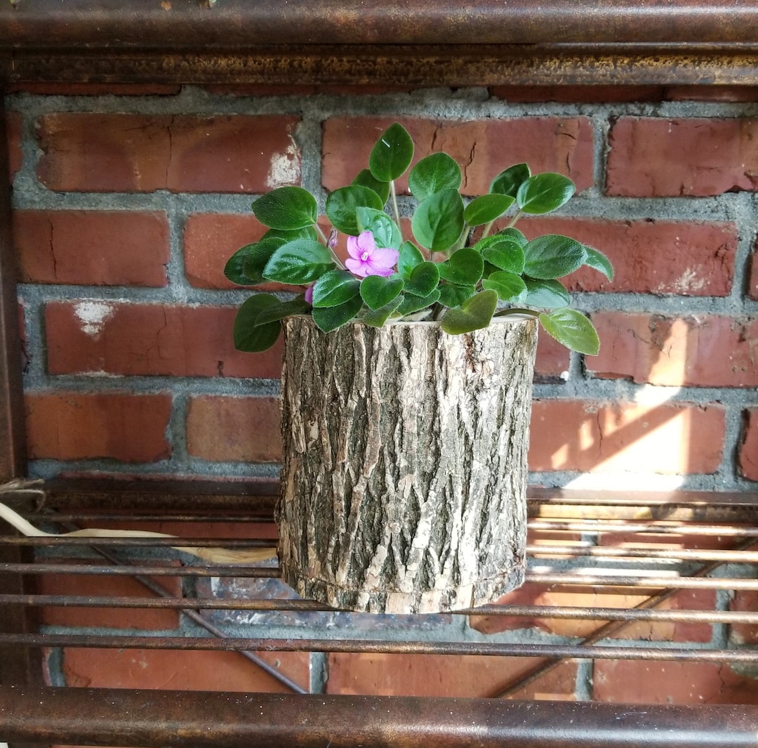 Log Vase Plant Holder | Water Resistant or Natural Hollowed Tree Indoor ...