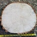 Log Slice Live Edge 10-12 Rustic Centerpiece Base-plate Charger-wood ...