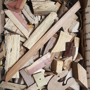 Box of Wood Scrap Chunks From Variety Tree Species | Log Slice Chips ...