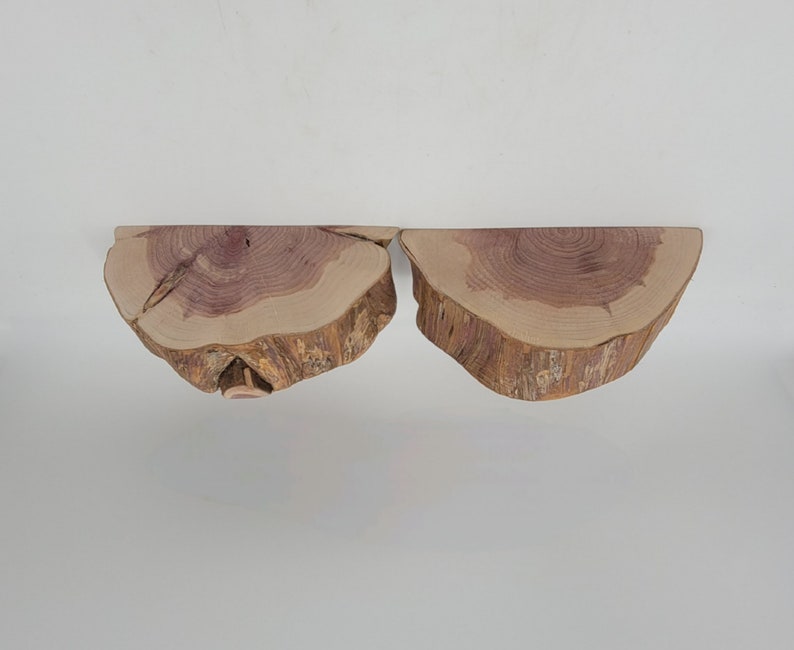 Tree Slice Sconces Split Matching Pair Live Edge Floating - Etsy