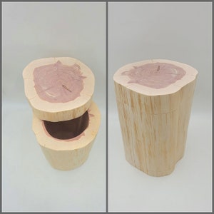 Log Cremation Urn-large Custom Made Hollowed Tree for Human Remains ...