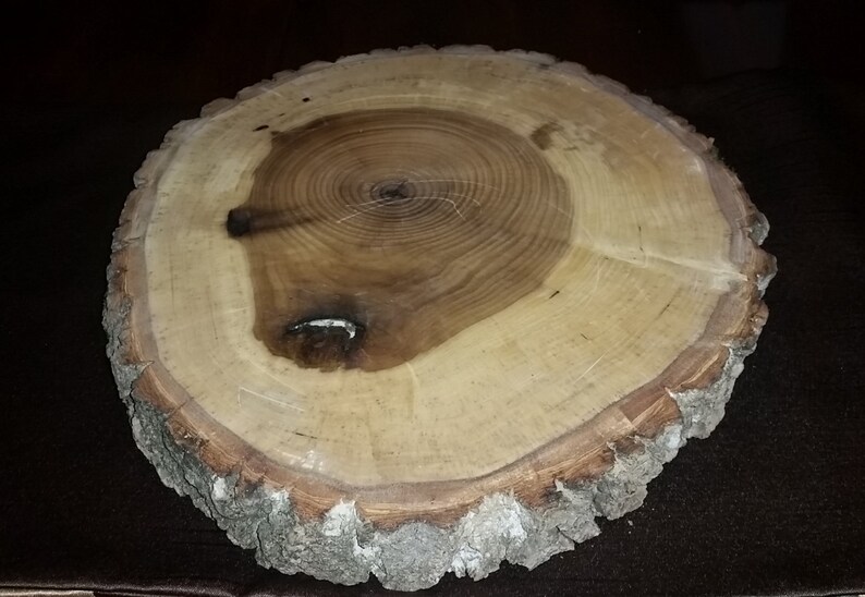 Finished Log Slice 10-12 Round Rustic Table - Etsy