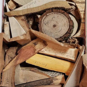 Box of Wood Scrap Chunks From Variety Tree Species | Log Slice Chips ...