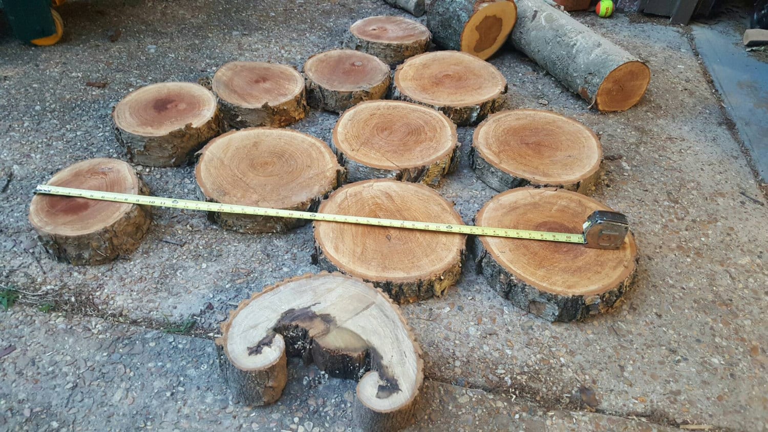 Log slice live edge 10-12 Rustic centerpiece | Etsy