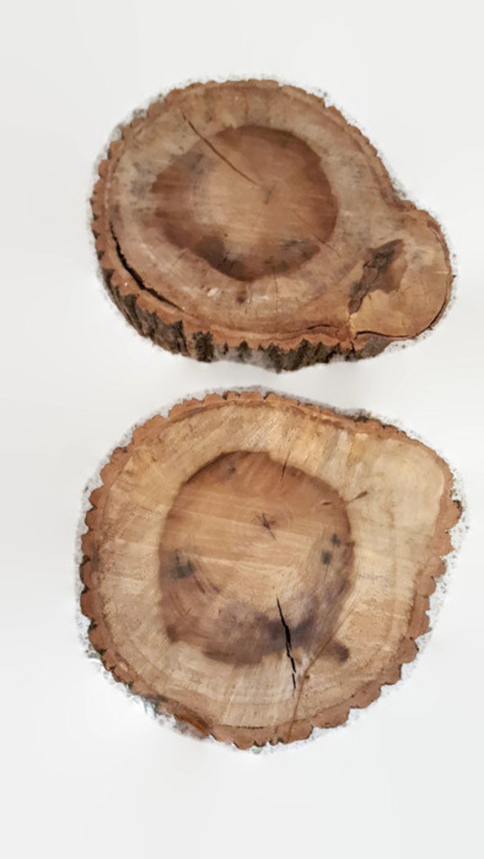 Log Slice Live Edge 10-12 Rustic Centerpiece - Etsy