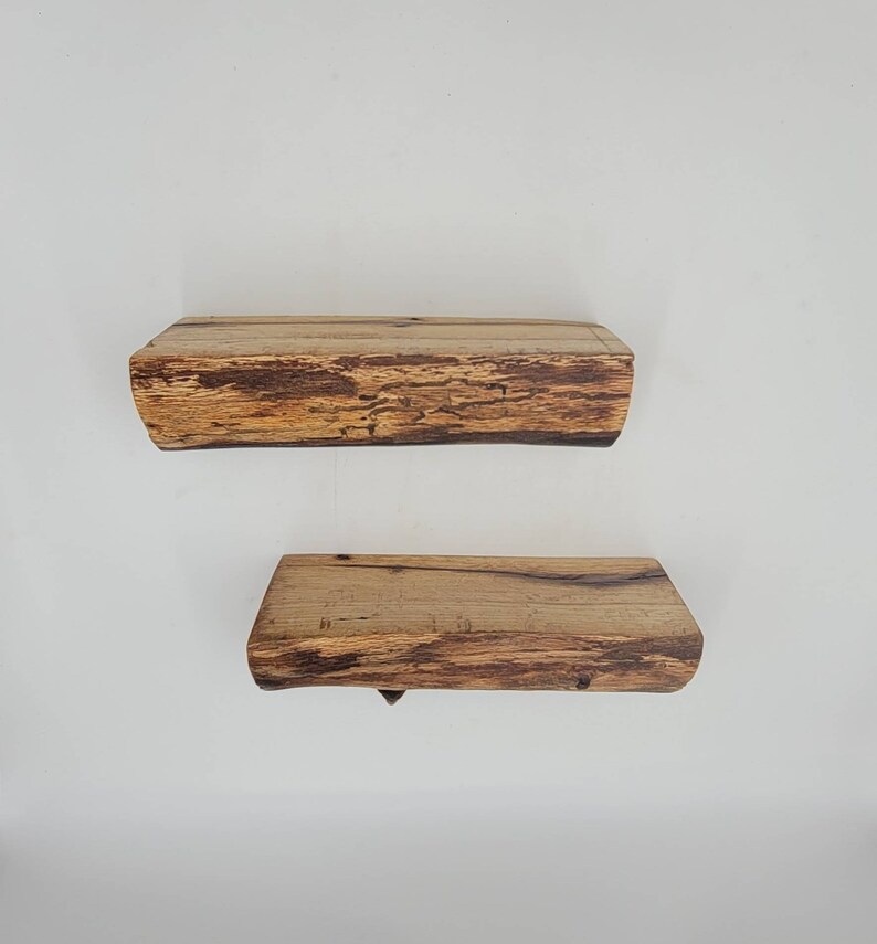 Tree Slab Shelf | Floating Live Edge Wood Wall Art | Ecofriendly Unique ...